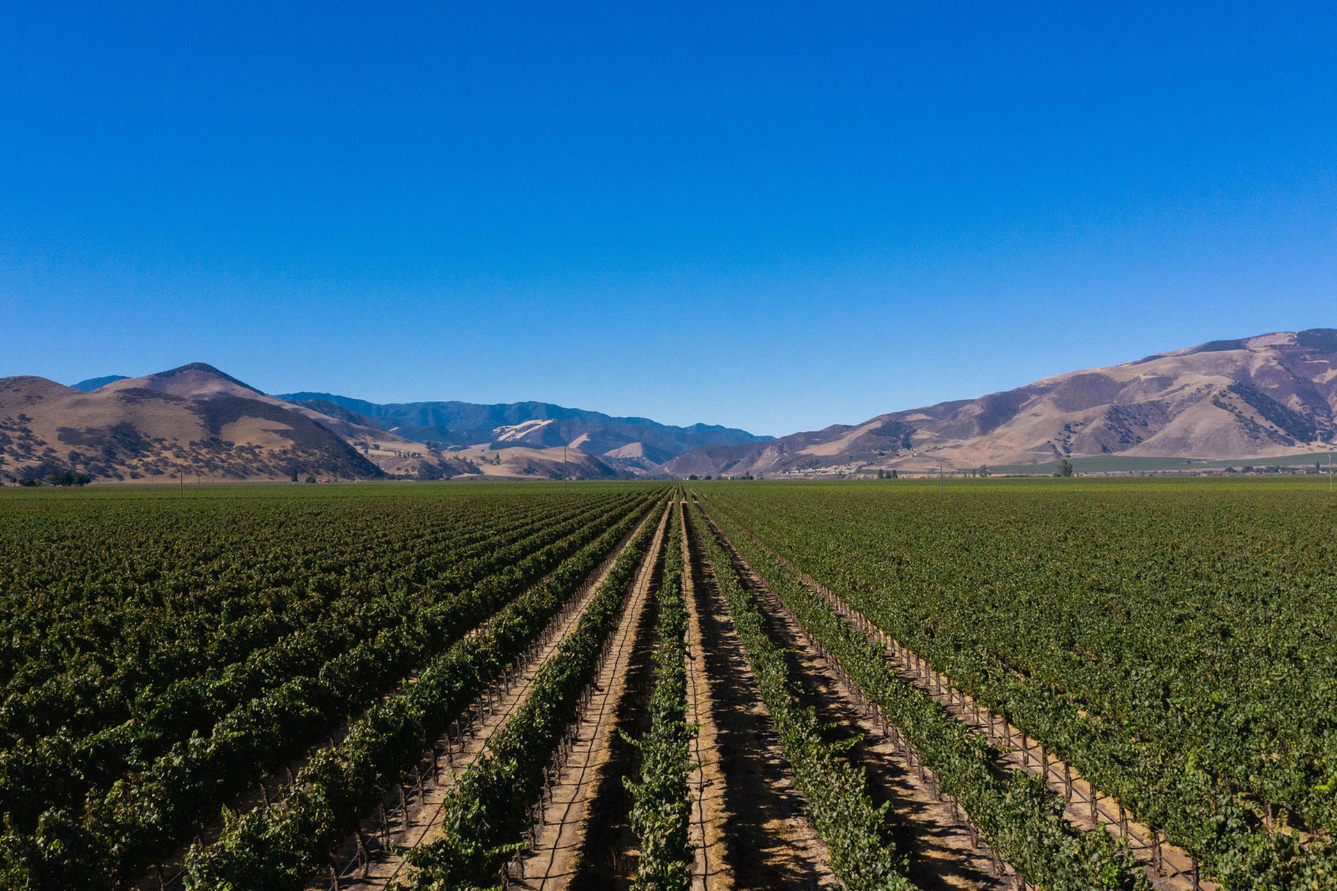 Greenfield - A Growing Community in the Salinas Valley